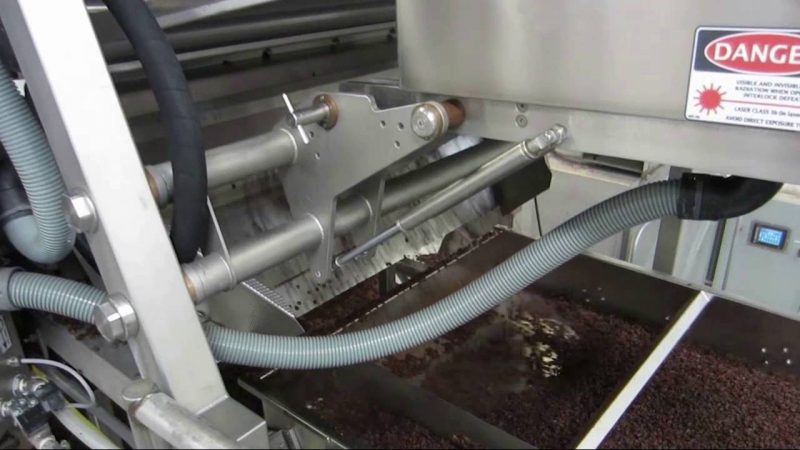 【葡萄干分选机】葡萄干色选机 提子干分级除杂设备 - 陶朗