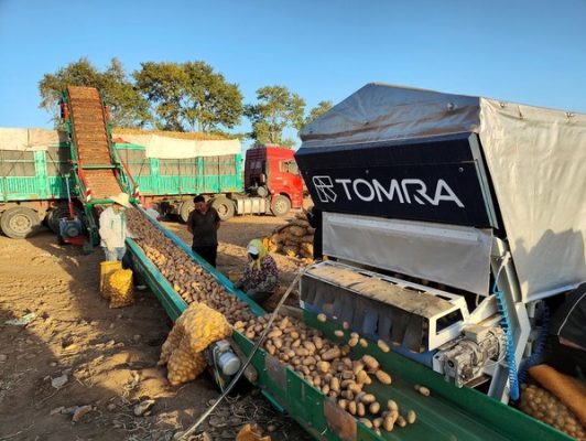 陶朗举办马铃薯田间路演周，推进产业链上游自动化 - 陶朗